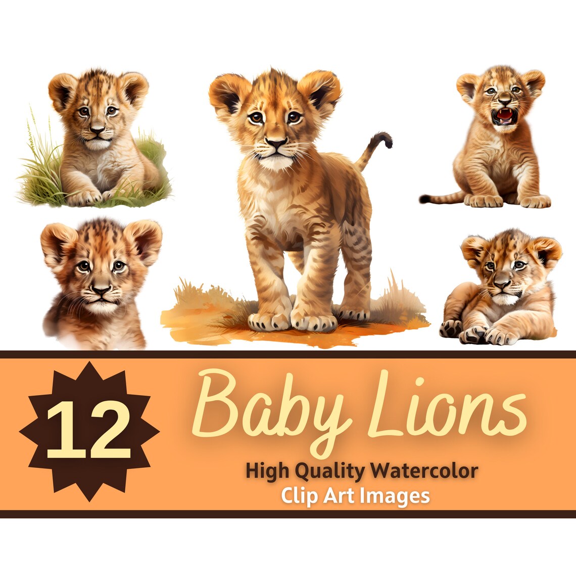 Baby Lion Clipart PNG Watercolor Bundle | Baby Animals Clipart | Safari ...
