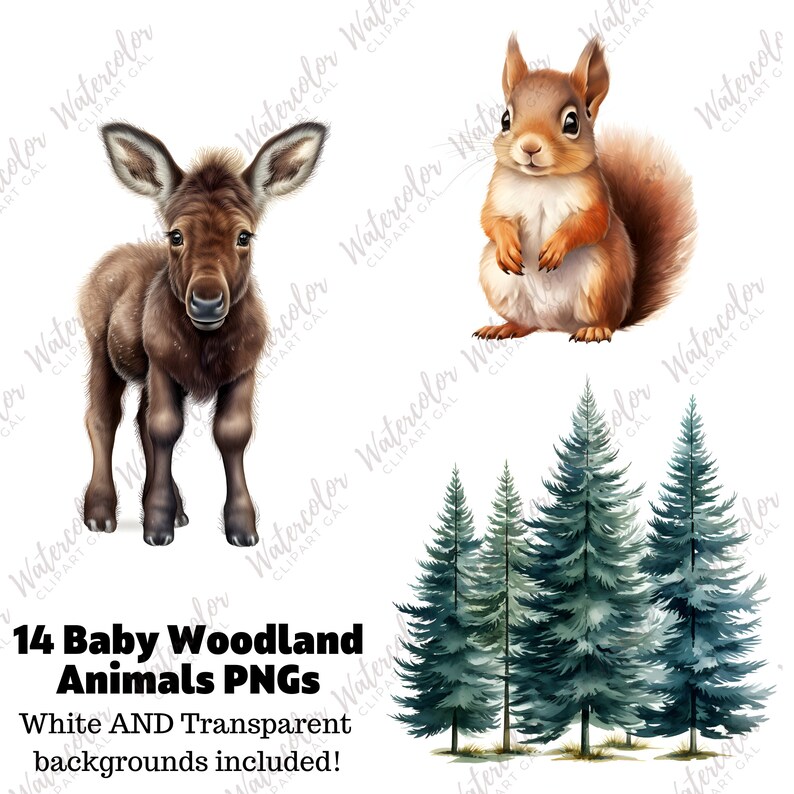 Baby Woodland Animals Clipart Watercolor Bundle Woodland Nursery ...