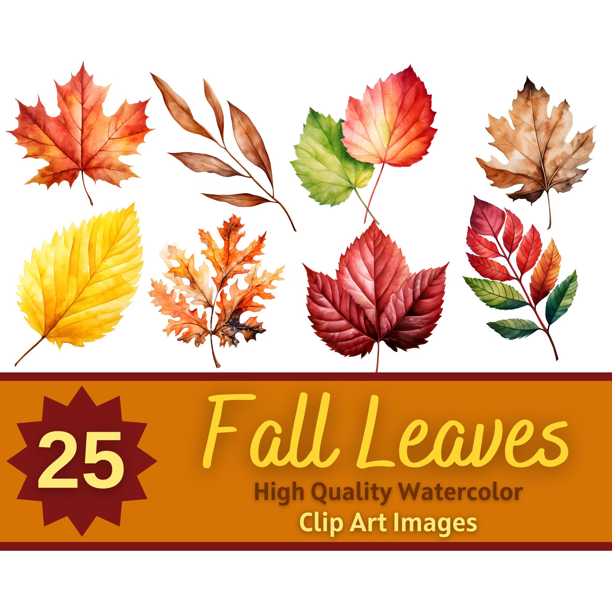 Autumn Leaves PNG Watercolor Bundle Fall Leaves Clipart Junk Journal ...