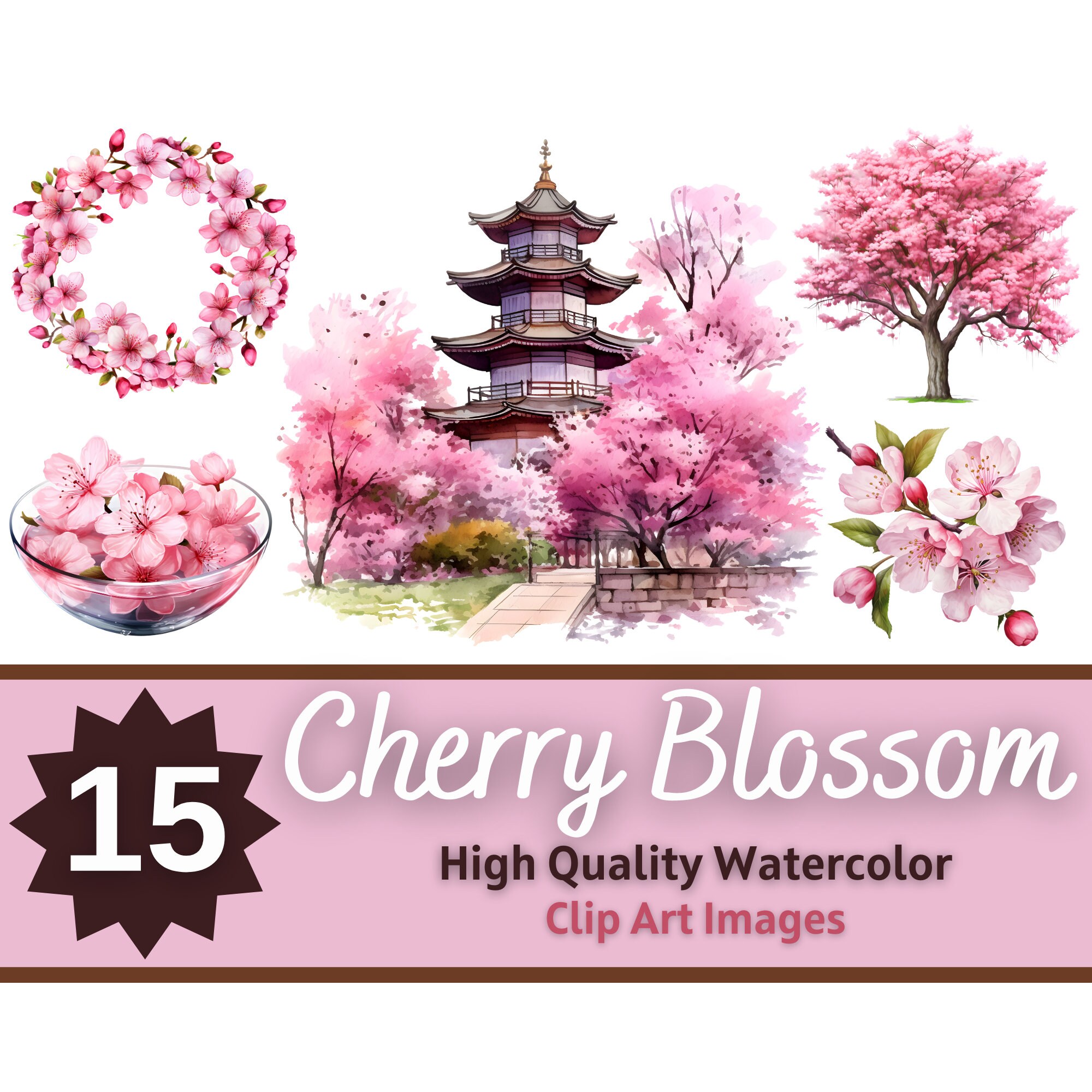 Cherry Blossom Clipart Watercolor Bundle Cherry Blossom PNG Floral ...