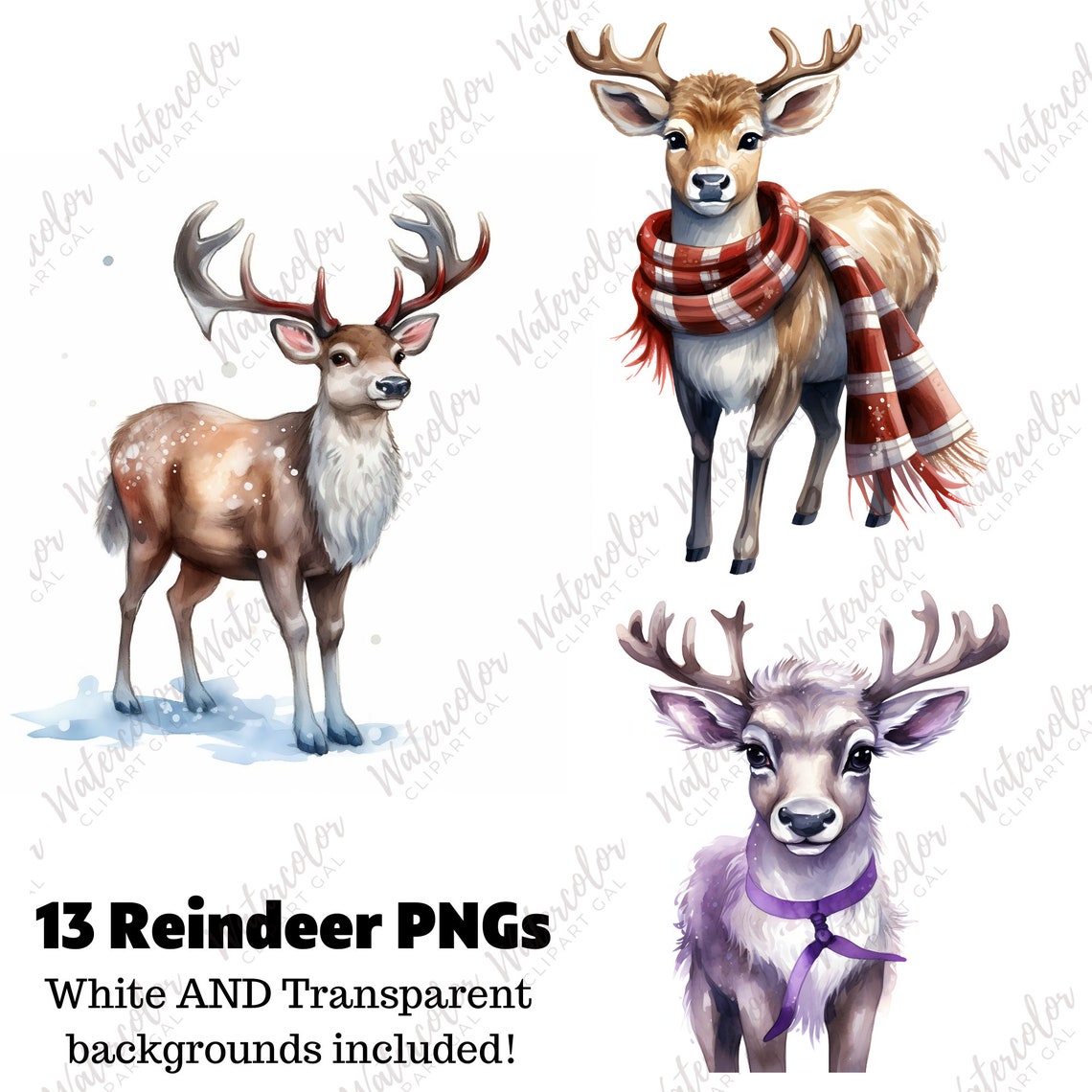 Santa's Reindeer Clipart PNG Watercolor Bundle | Christmas Reindeer ...