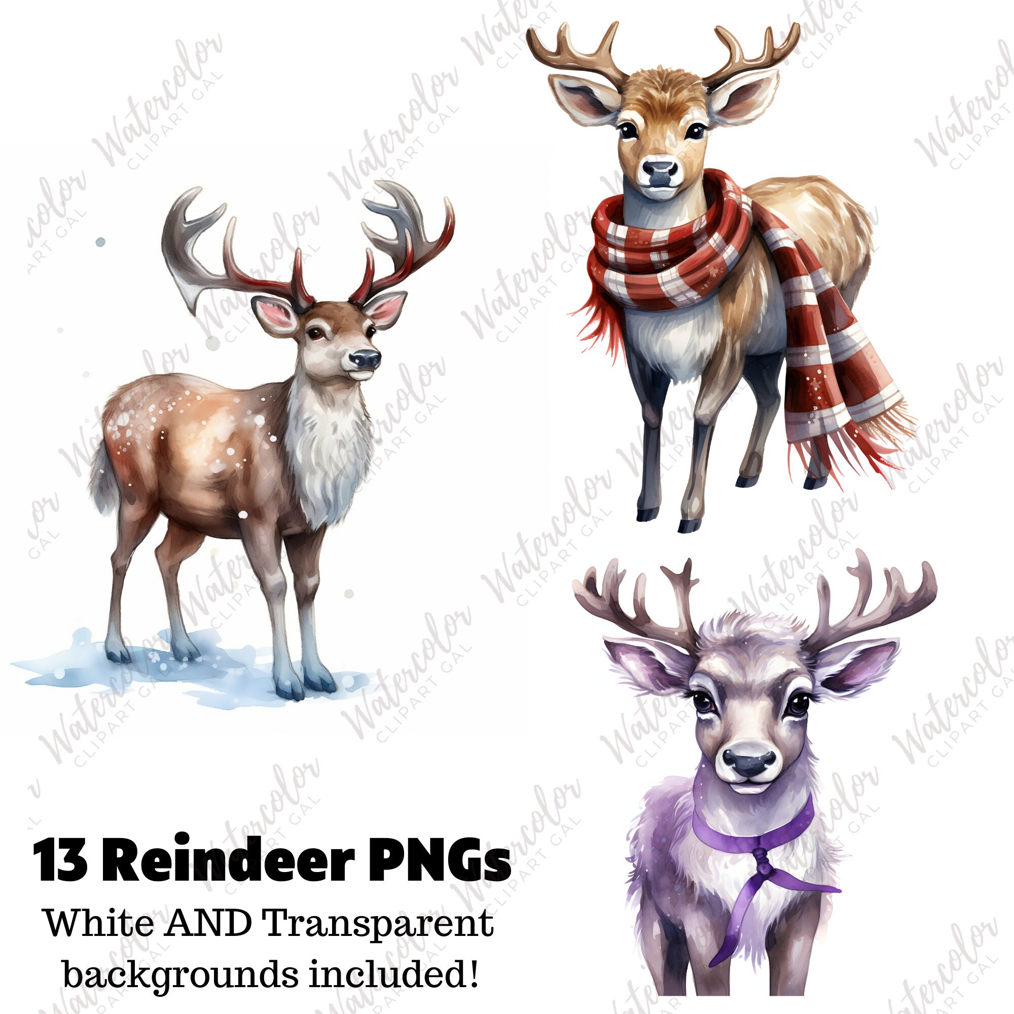 Santa's Reindeer Clipart PNG Watercolor Bundle Christmas Reindeer ...