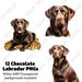 Chocolate Labrador Clipart Watercolor Bundle | Dog Portrait | Chocolate ...