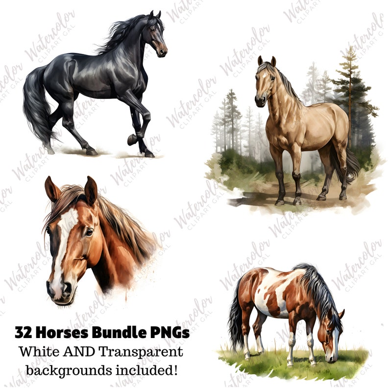 Horse PNG Watercolor Bundle | Western Horse Clipart | Barnyard Birthday ...