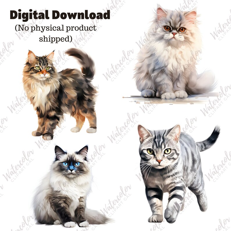 Cats Clipart Watercolor Bundle Animal Clipart Cat PNG - Etsy