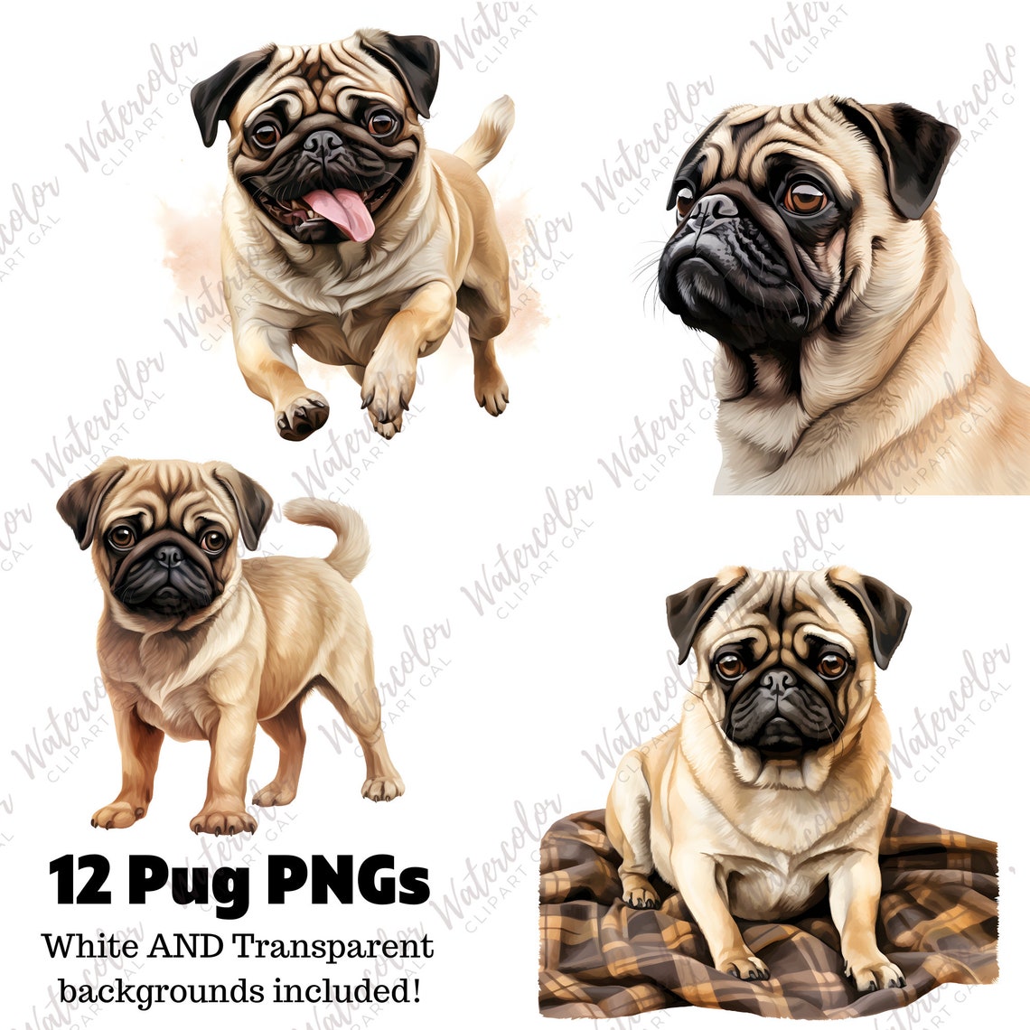 Pug Clipart Watercolor Bundle Dog Portrait Pugs PNG Dog - Etsy
