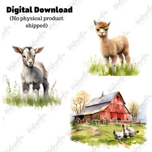 Baby Farm Animals PNG Watercolor Bundle | Baby Farm Animals Clipart ...