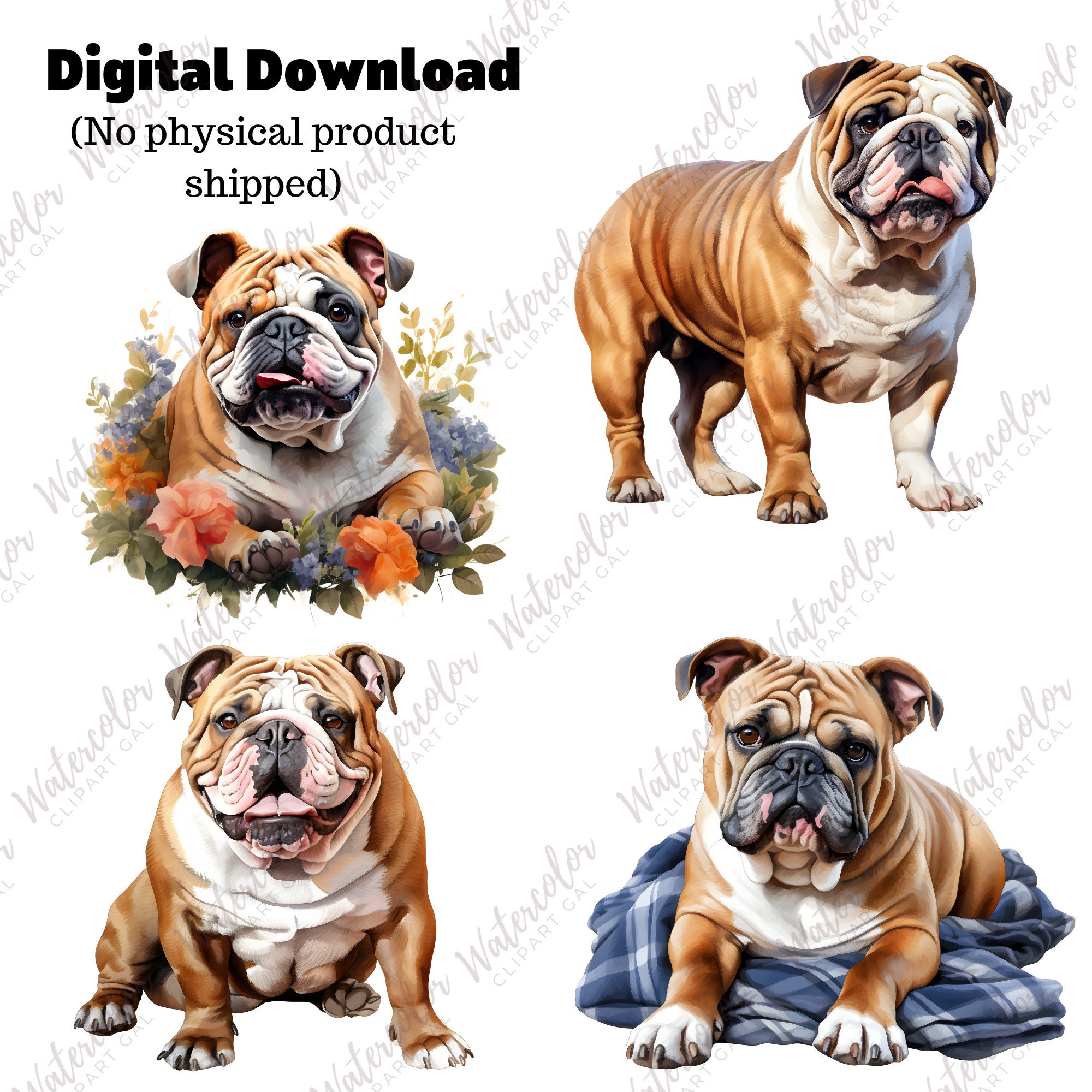 Bull Dog Clipart Watercolor Bundle Dog Portrait Bull Dog - Etsy