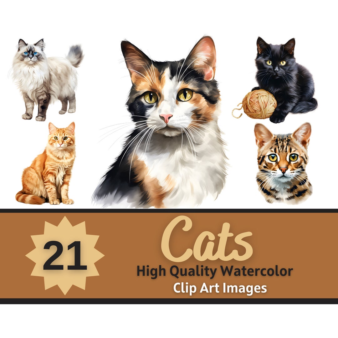 Cats Clipart Watercolor Bundle | Animal Clipart | Cat PNG | Pet Clipart ...