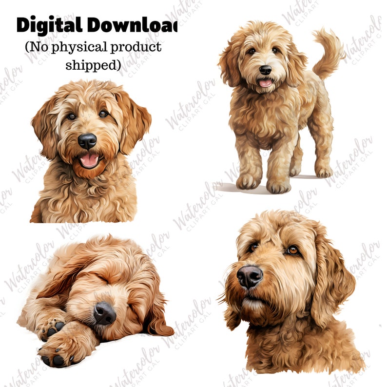 Goldendoodle Clipart Watercolor Bundle | Dog Portrait | Golden Doodle ...