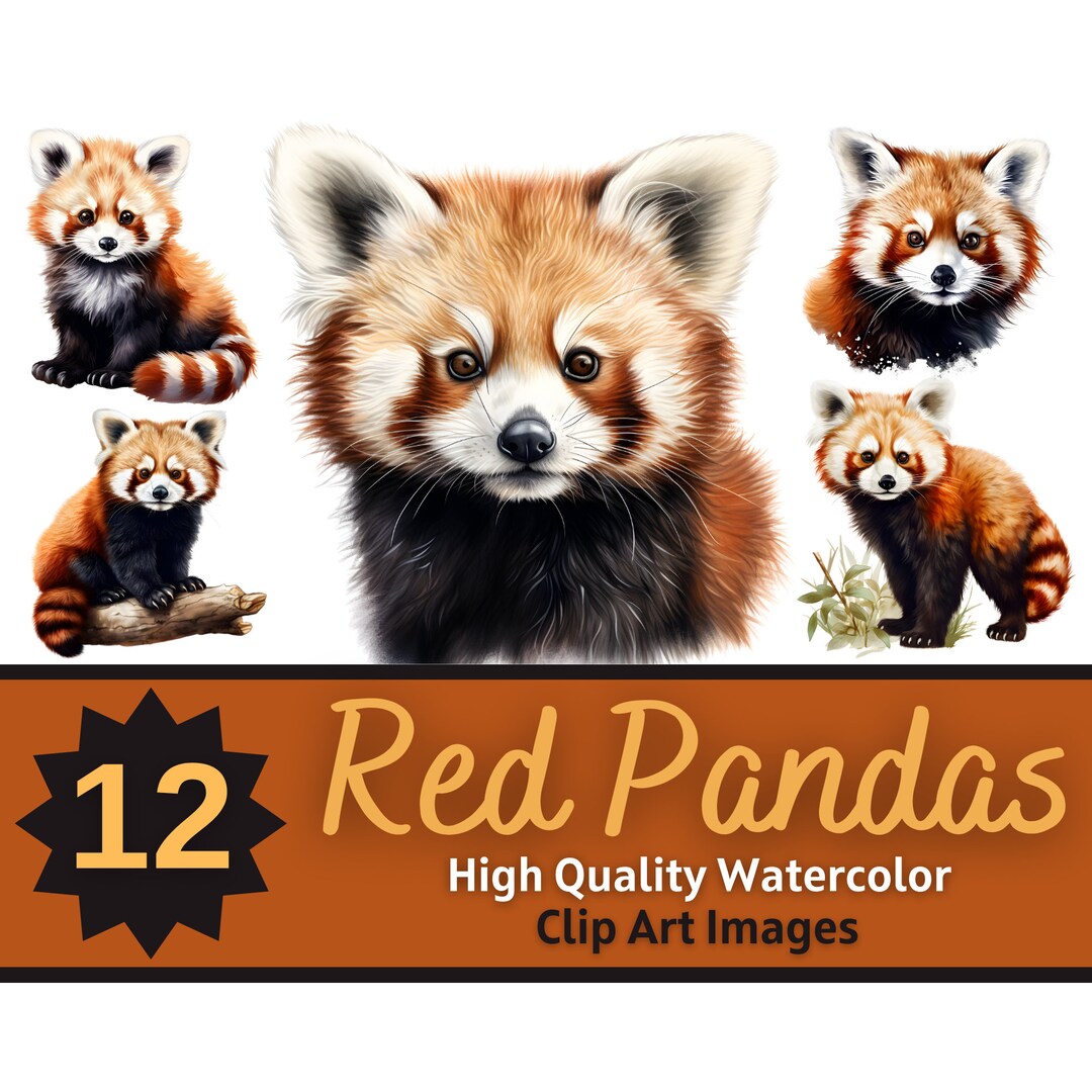 Red Panda Clipart Watercolor Bundle | Red Panda PNG | Cute Animal ...