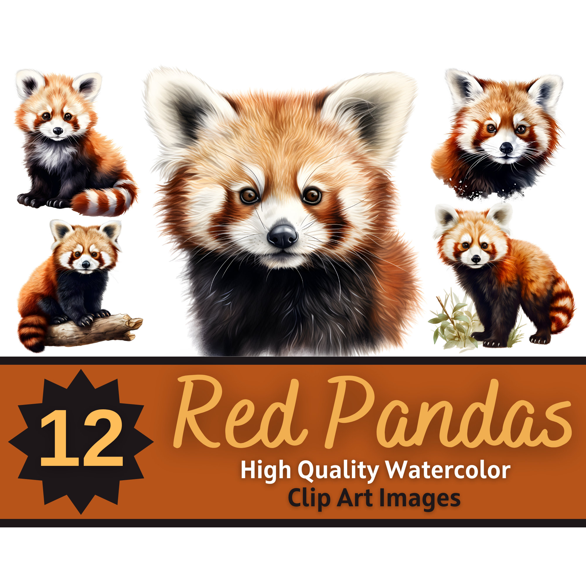 Red Panda Clipart Watercolor Bundle Red Panda PNG Cute - Etsy