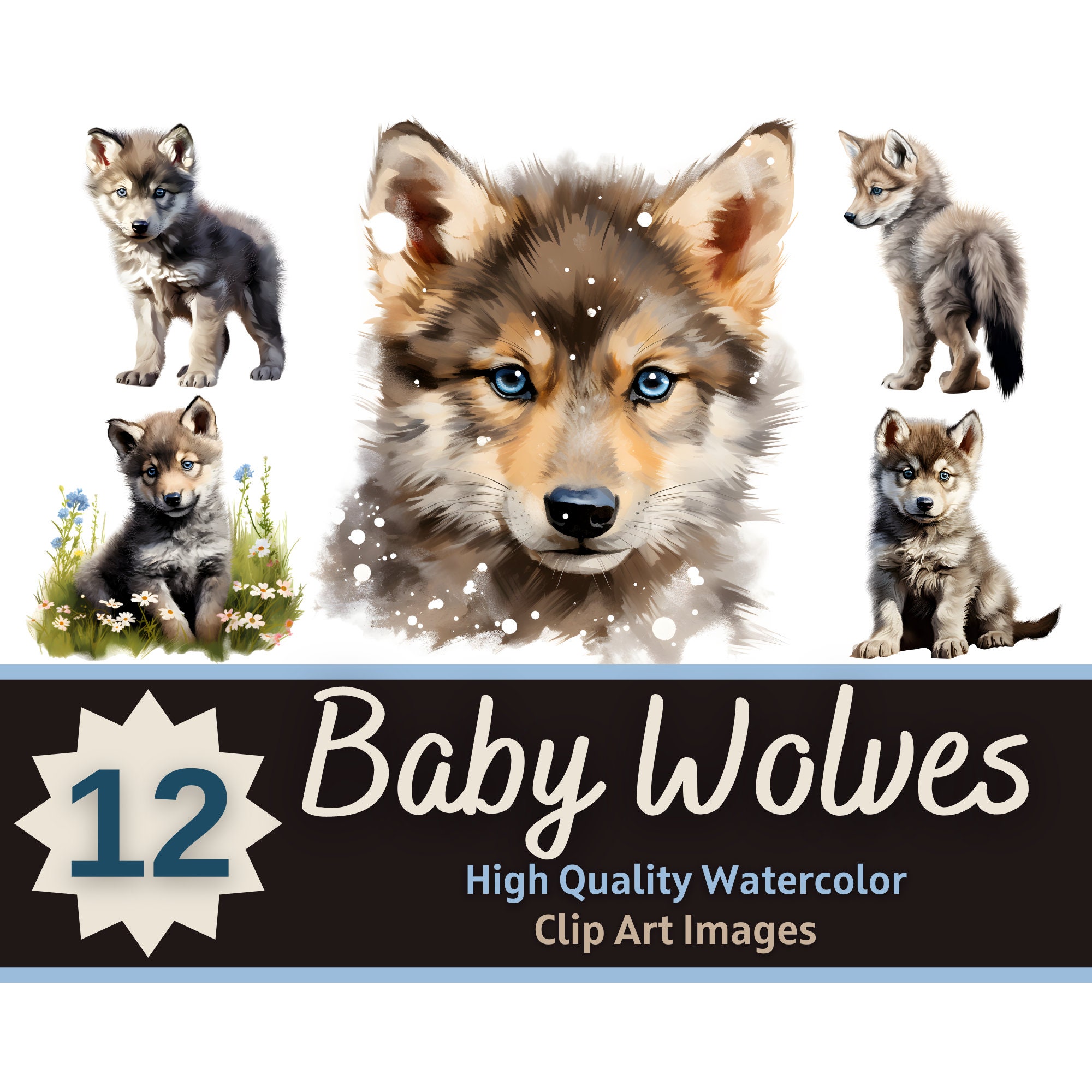 Baby Wolf Clipart PNG Watercolor Bundle Baby Animals Clipart Baby Wolf ...