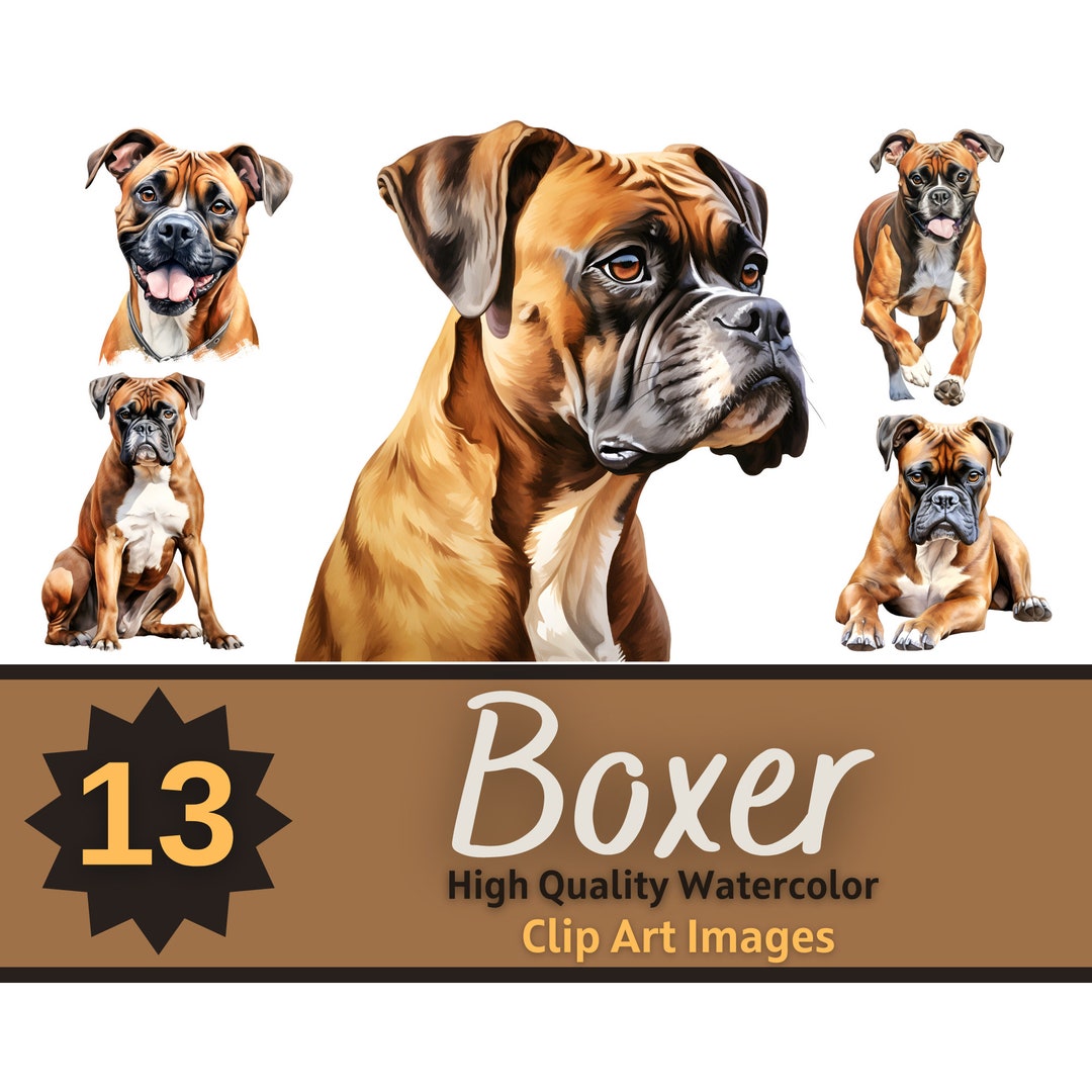 Boxer Dog Clipart Watercolor Bundle | Dog Portrait | Boxer Dog PNG ...