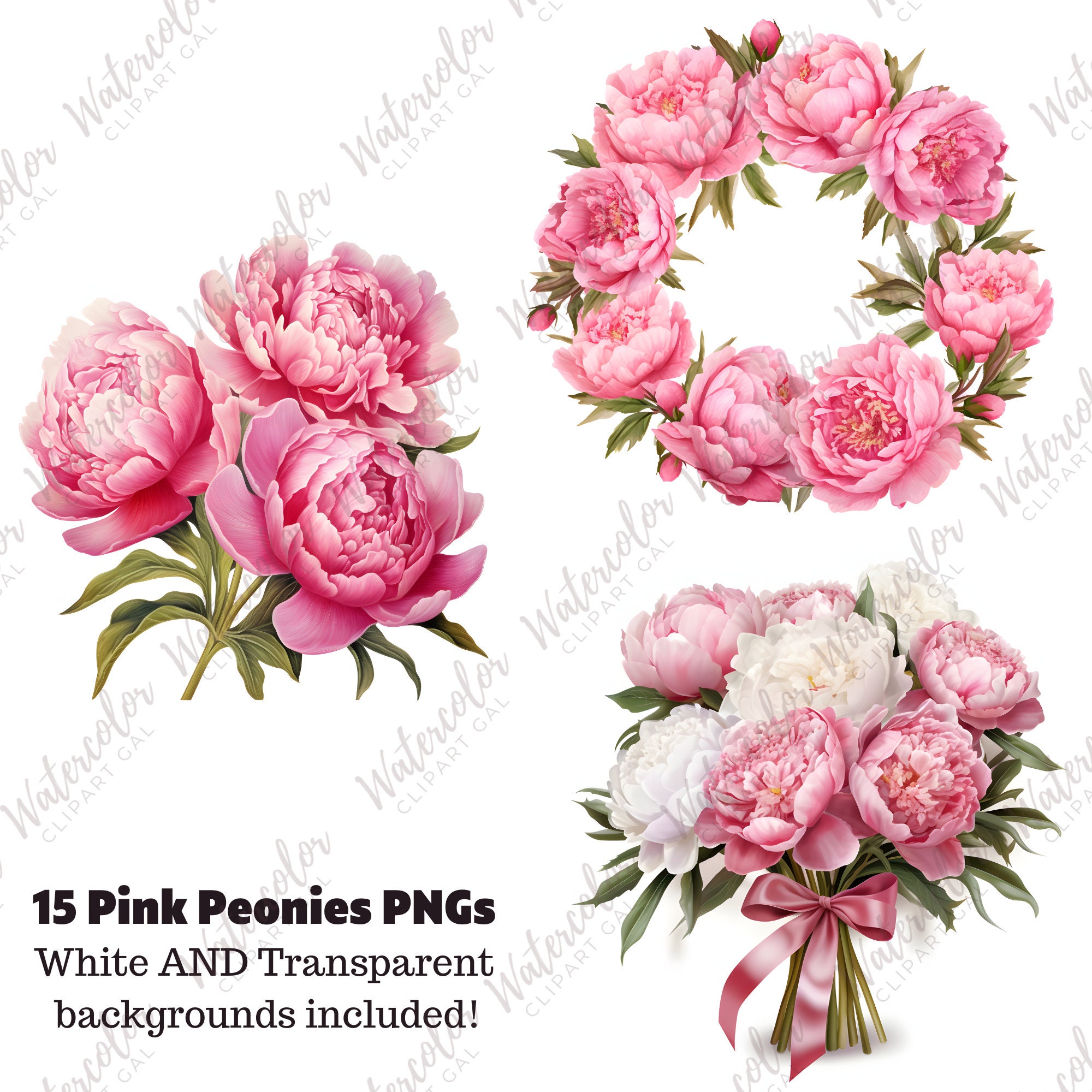 Pink Peony Clipart Watercolor Bundle Pink Peonies PNG Floral Clipart ...