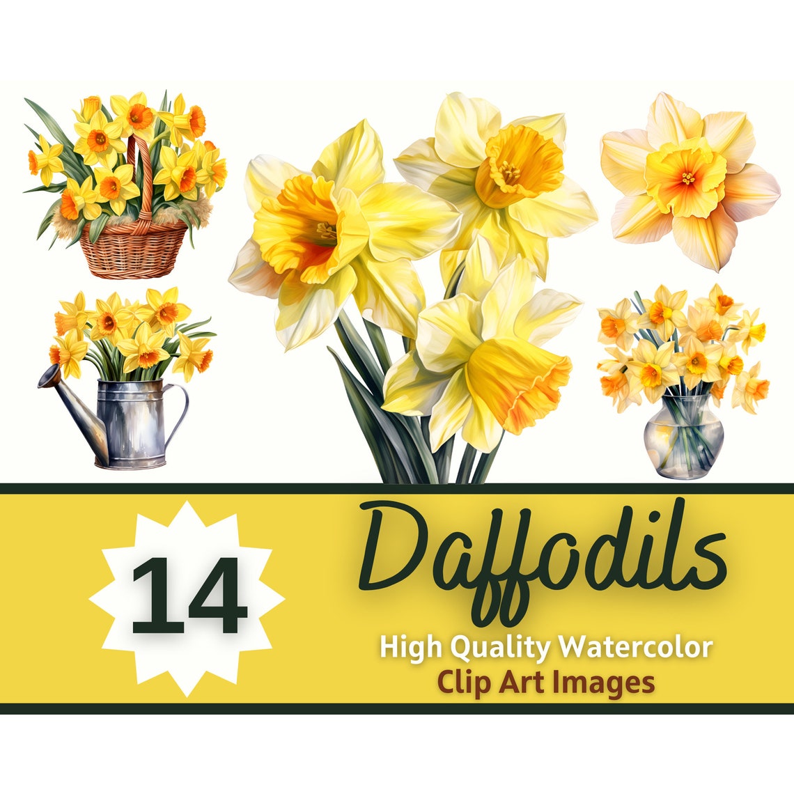 Daffodil Clipart PNG Watercolor Bundle Daffodil PNG Floral - Etsy
