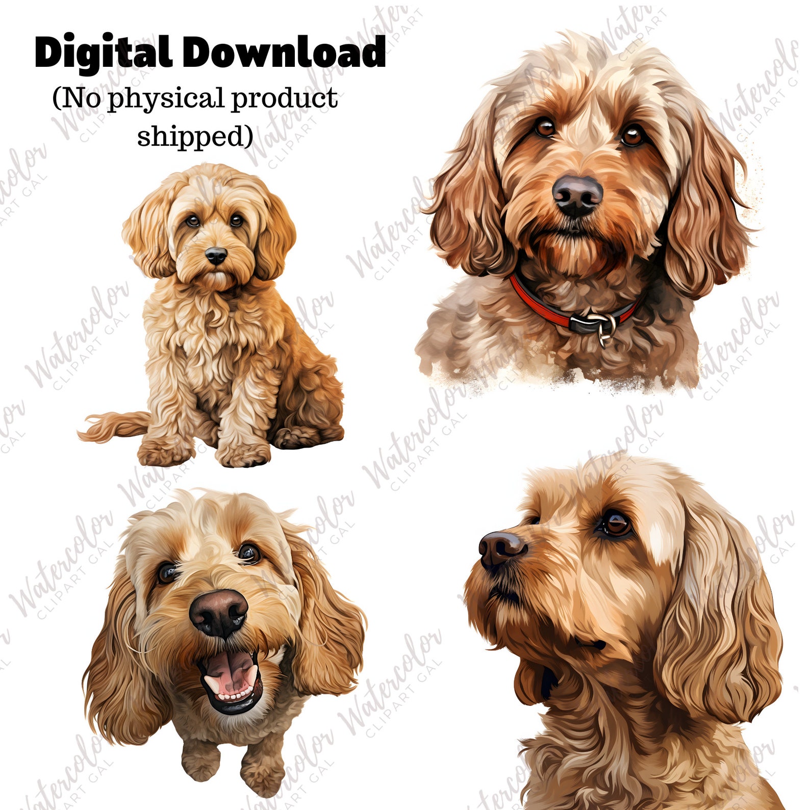 Cockapoo Clipart Watercolor Bundle Dog Portrait Cockapoo PNG Junk ...