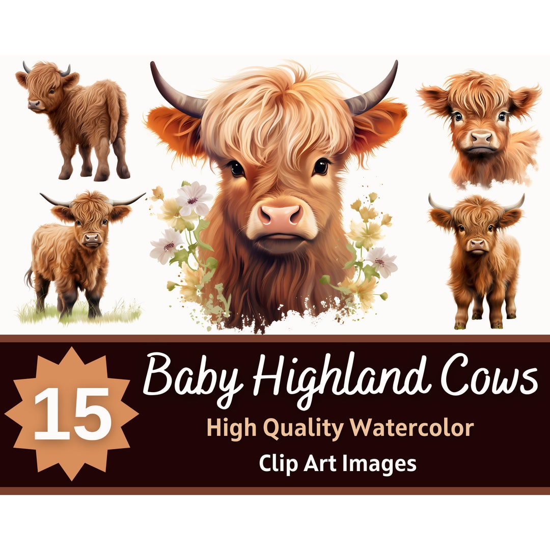 Baby Highland Cow PNG Watercolor Bundle | Baby Animal Clipart | Baby ...