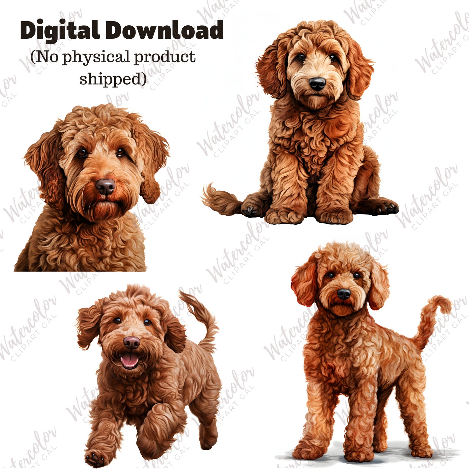 Red Goldendoodle PNG Clipart Watercolor Bundle | Dog Portrait | Golden ...