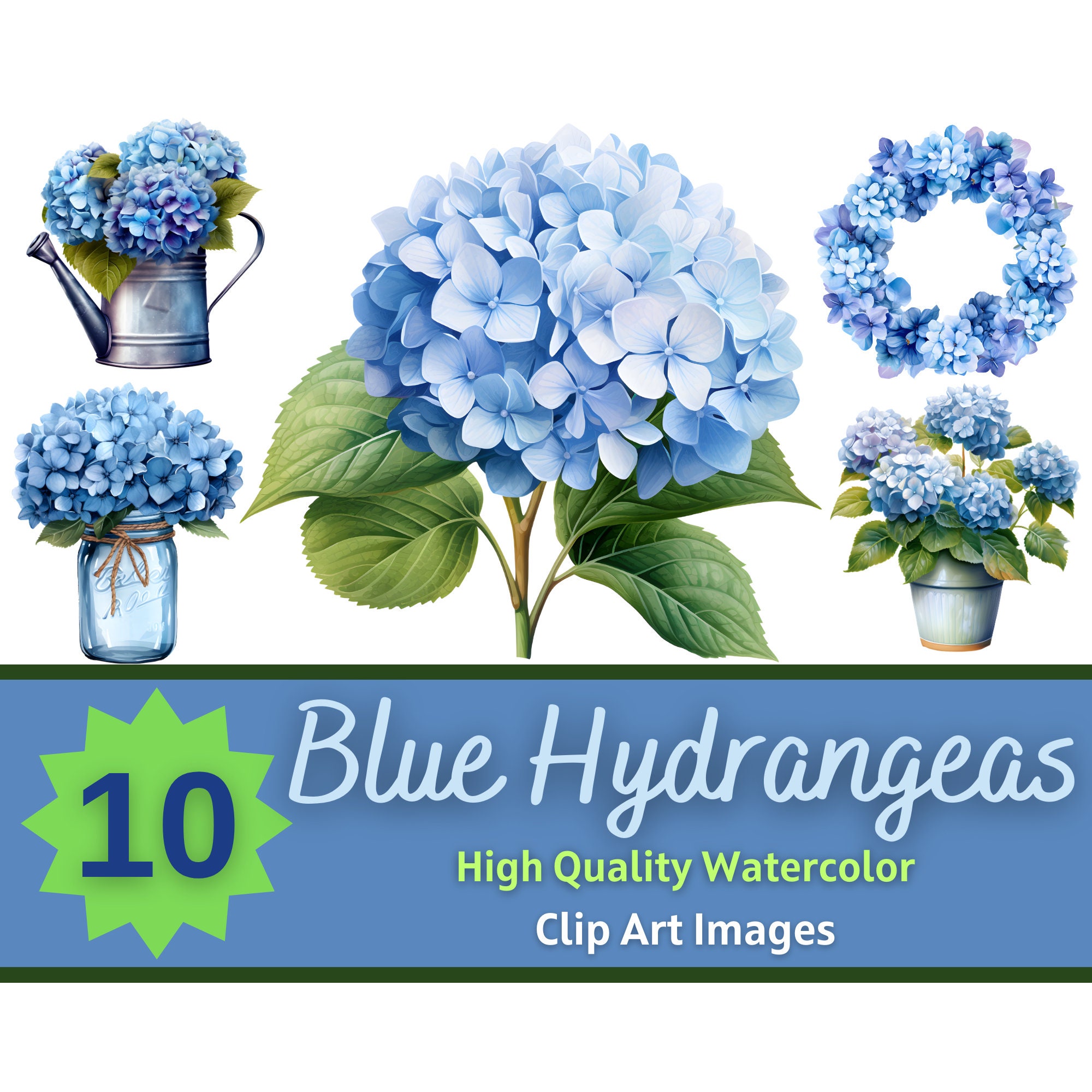 Blue Hydrangea Clipart Watercolor Bundle Hydrangea PNG Floral Clipart ...