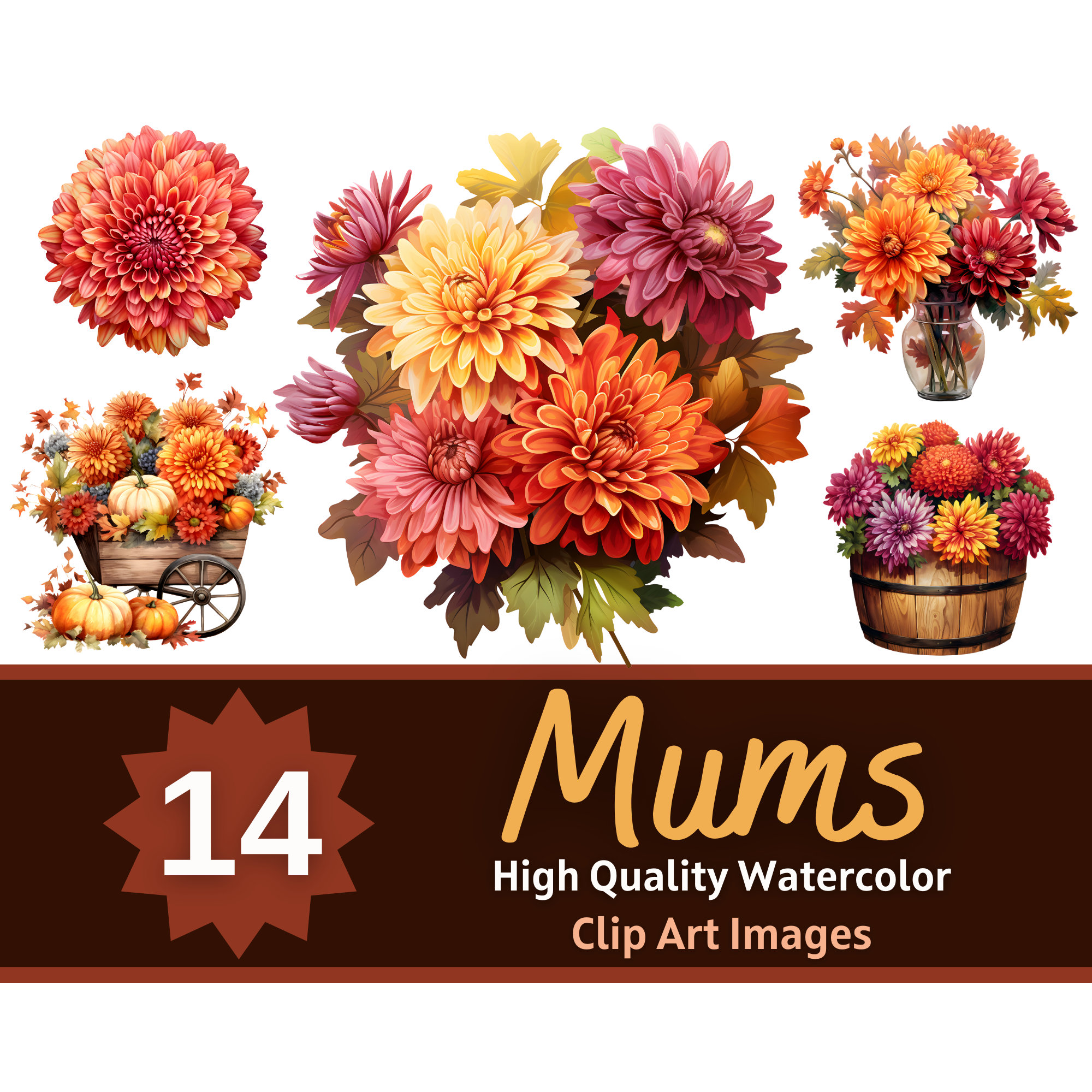 Mums Clipart PNG Watercolor Bundle Mums Flower PNG Floral - Etsy