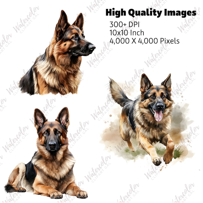 German Shepherd Clipart Watercolor Bundle Dog Portrait German Shepherd ...