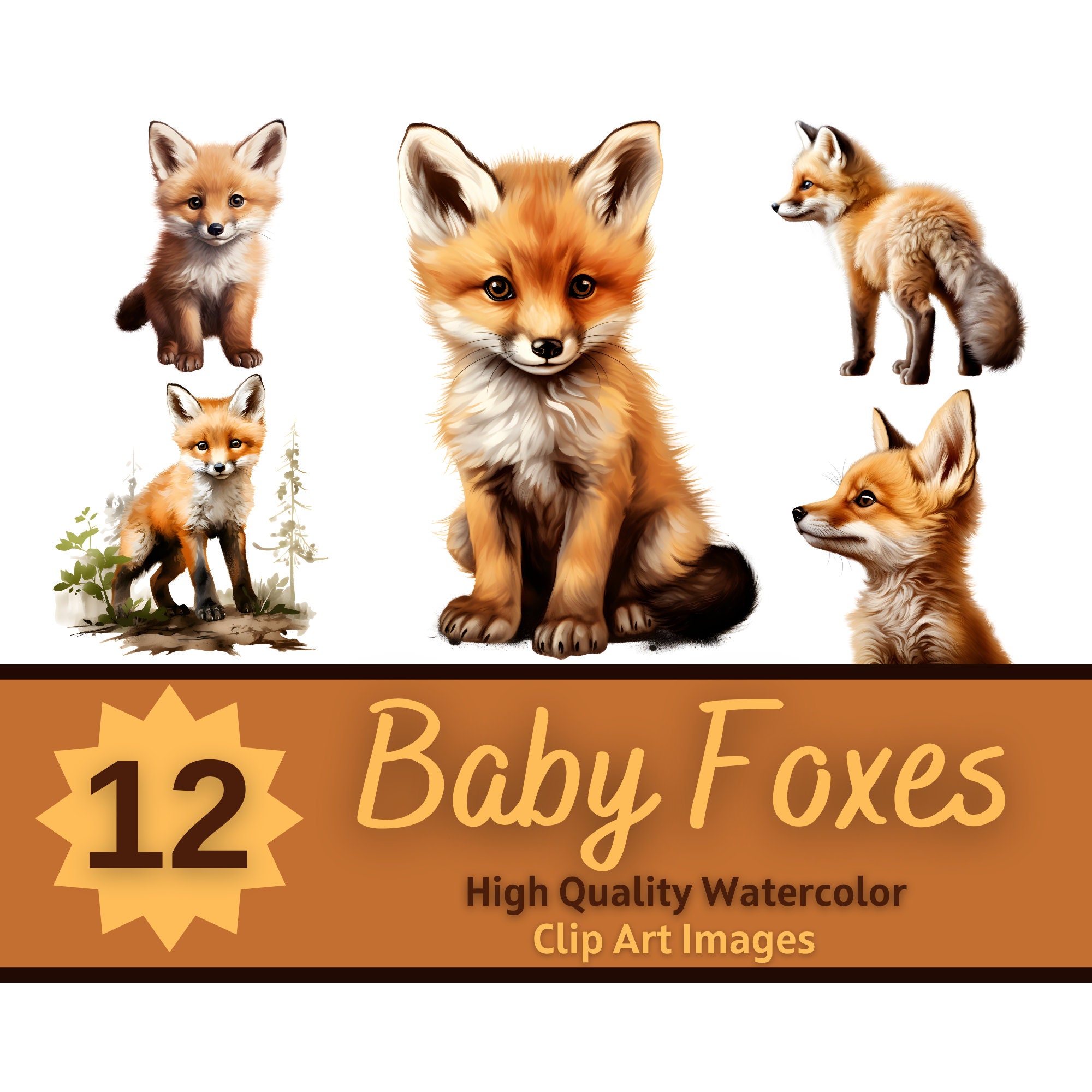 Baby Fox Clipart PNG Watercolor Bundle Baby Animals Clipart Woodland ...