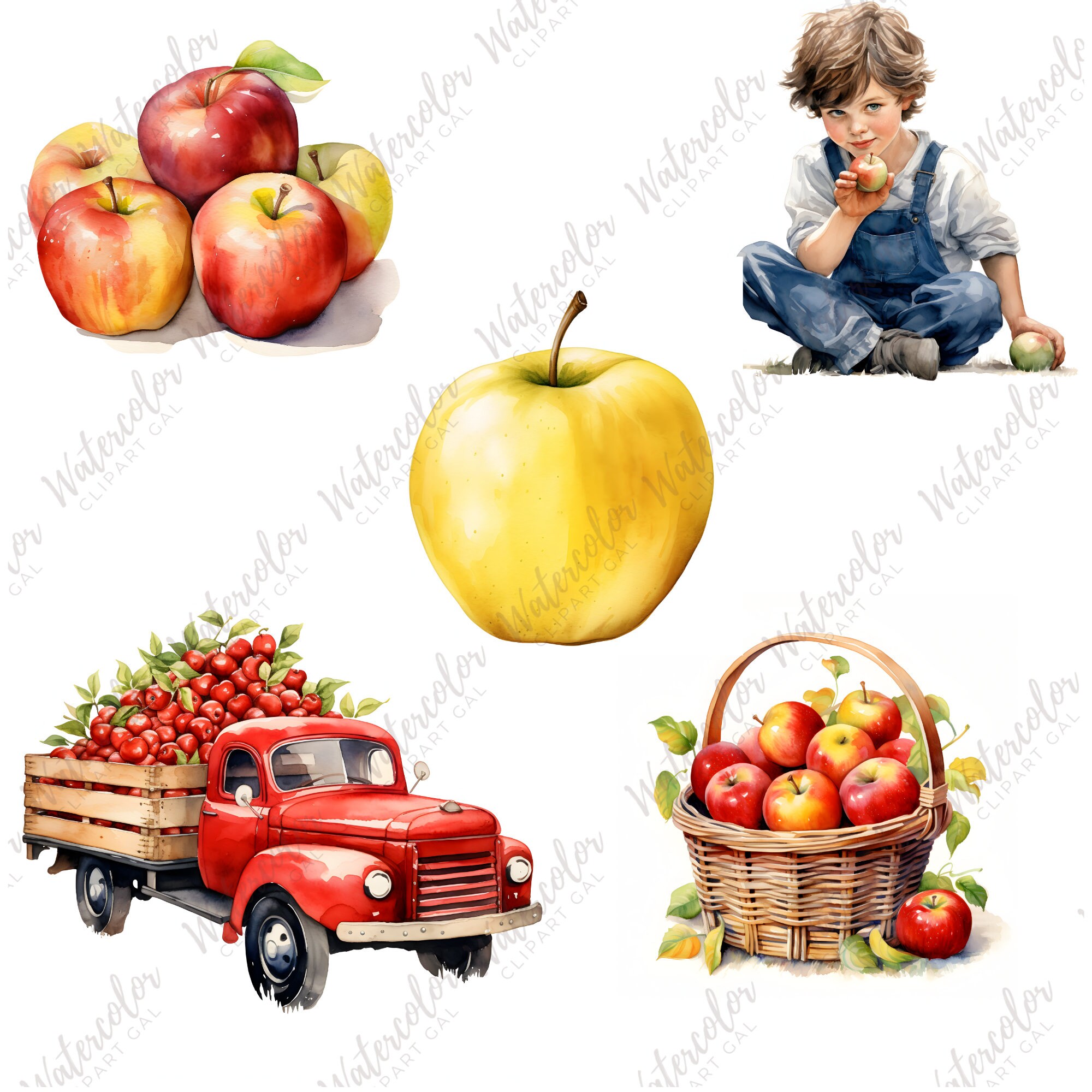 Cozy Fall Apple PNG Watercolor Clipart Bundle Apple Theme - Etsy