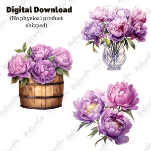 Purple Peony Clipart PNG Watercolor Bundle | Peonies PNG | Floral ...