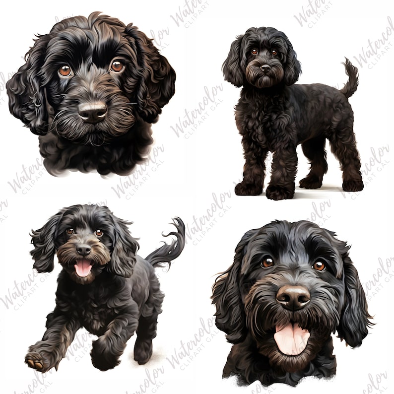 Black Cockapoo Clipart Watercolor Bundle | Dog Portrait | Black ...