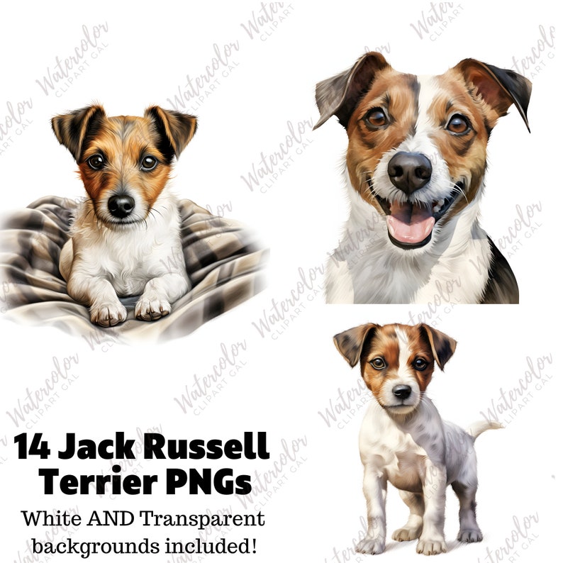 Jack Russell Terrier Clipart Watercolor Bundle | Dog Portrait | Jack ...