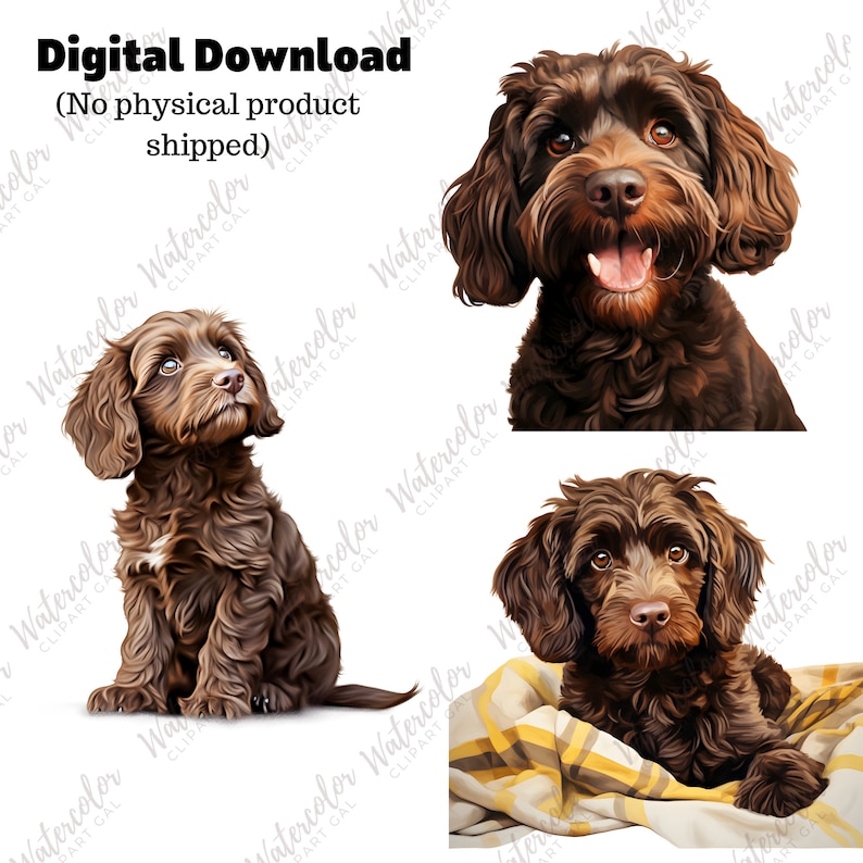 Chocolate Cockapoo Clipart Watercolor Bundle Dog Portrait Chocolate ...