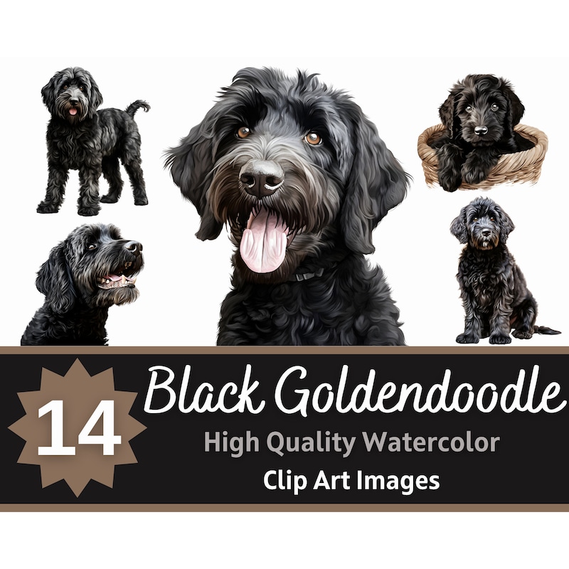 Goldendoodle Design - Etsy