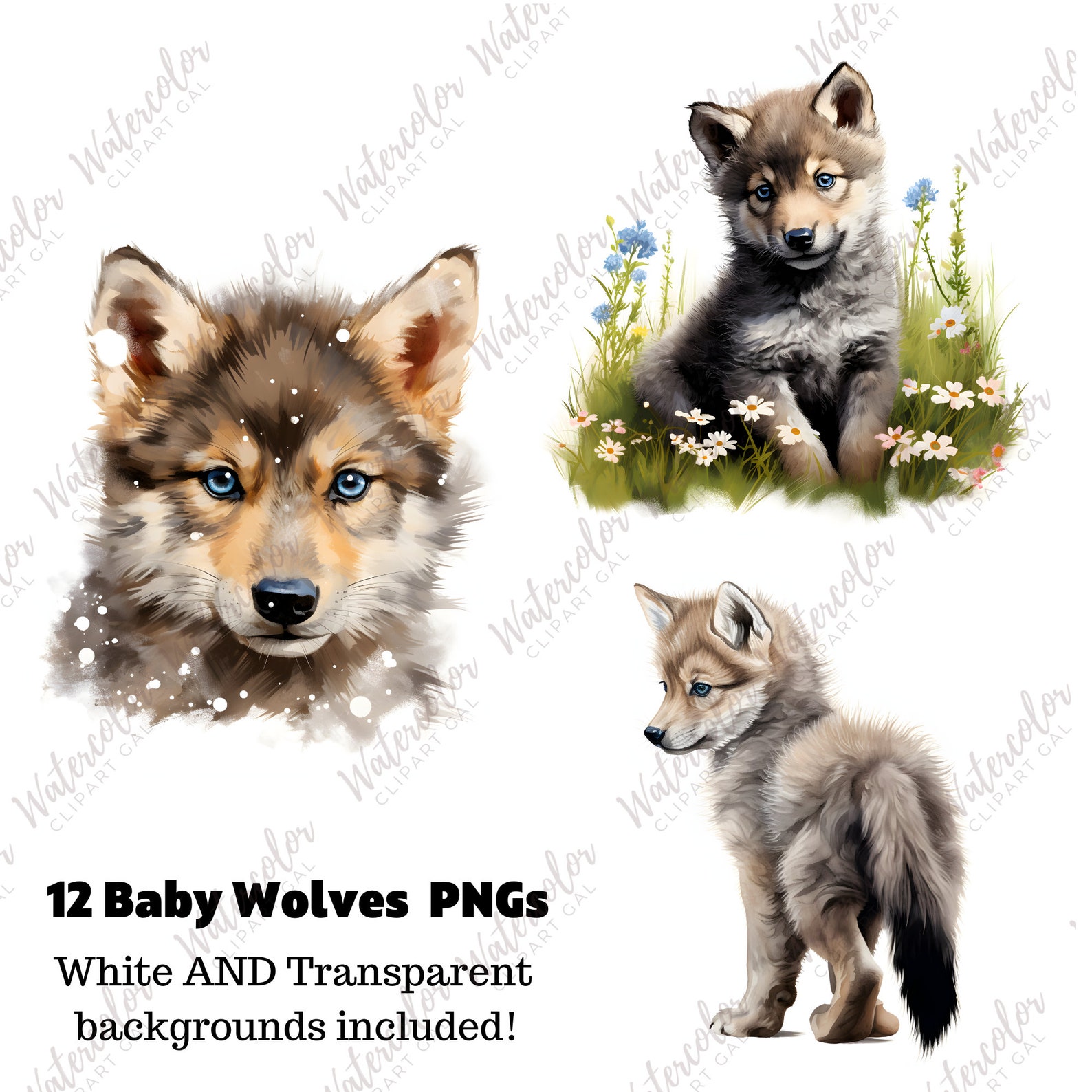 Baby Wolf Clipart PNG Watercolor Bundle Baby Animals Clipart Baby Wolf ...