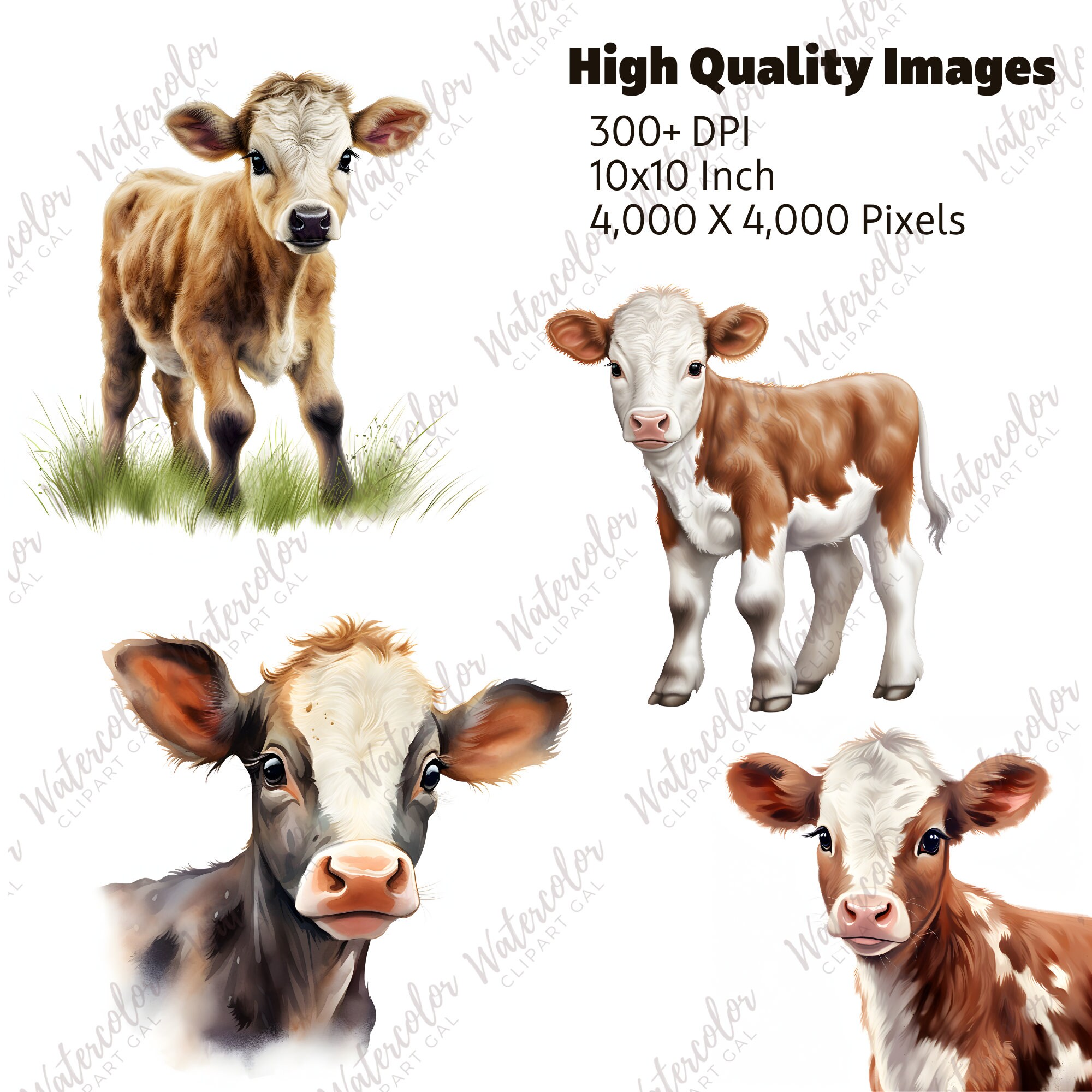 Baby Cow PNG Watercolor Bundle Baby Animals Clipart - Etsy