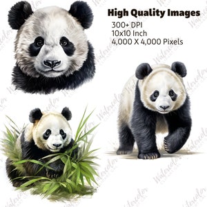 Cute Panda Clipart Watercolor Bundle | Cute Panda PNG | Cute Animal ...