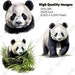 Cute Panda Clipart Watercolor Bundle Cute Panda PNG Cute - Etsy