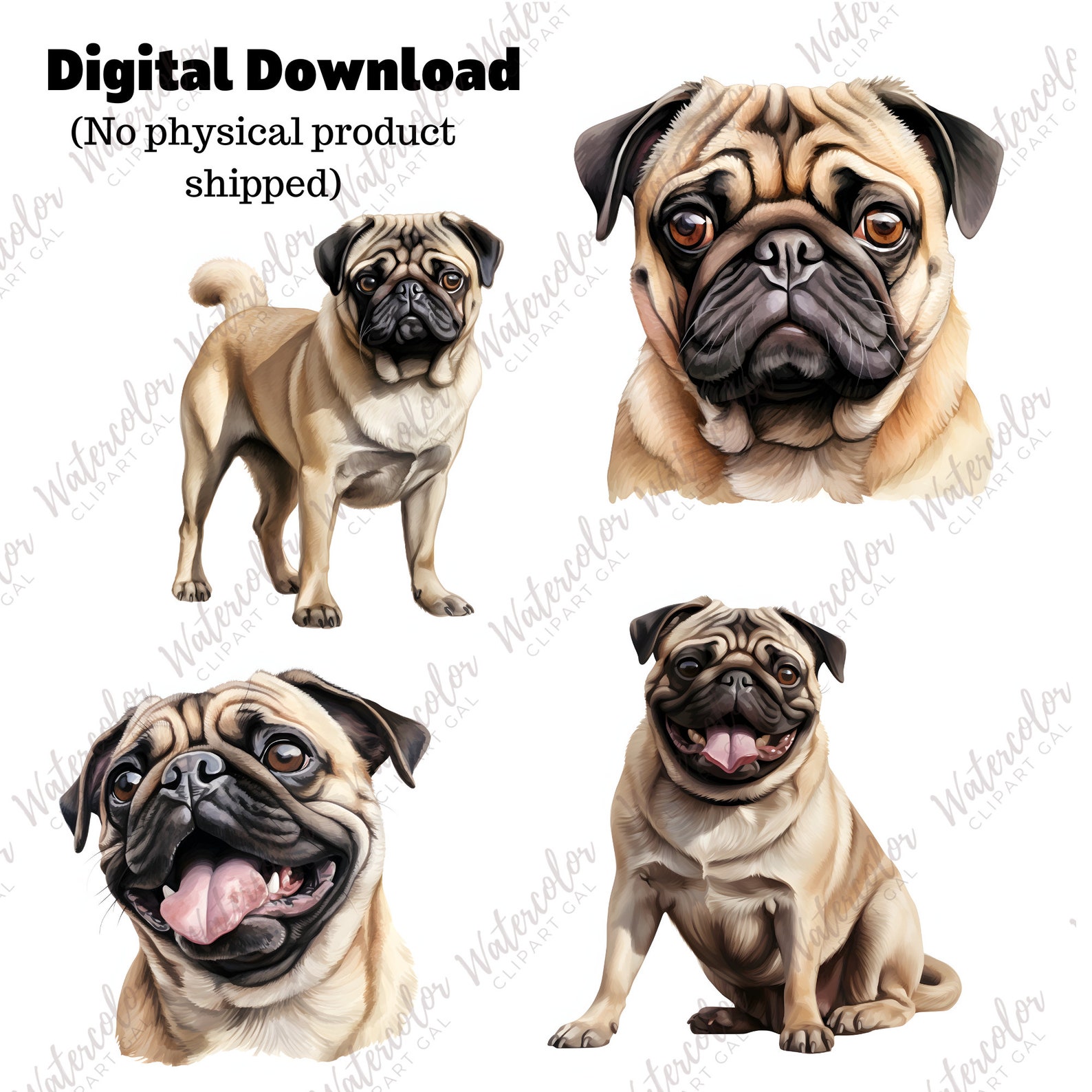Pug Clipart Watercolor Bundle Dog Portrait Pugs PNG Dog - Etsy