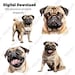 Pug Clipart Watercolor Bundle Dog Portrait Pugs PNG Dog Lover Art Pug ...