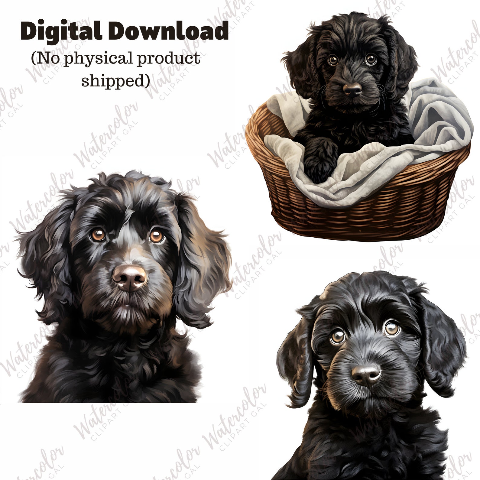 Black Cockapoo Clipart Watercolor Bundle | Dog Portrait | Black ...