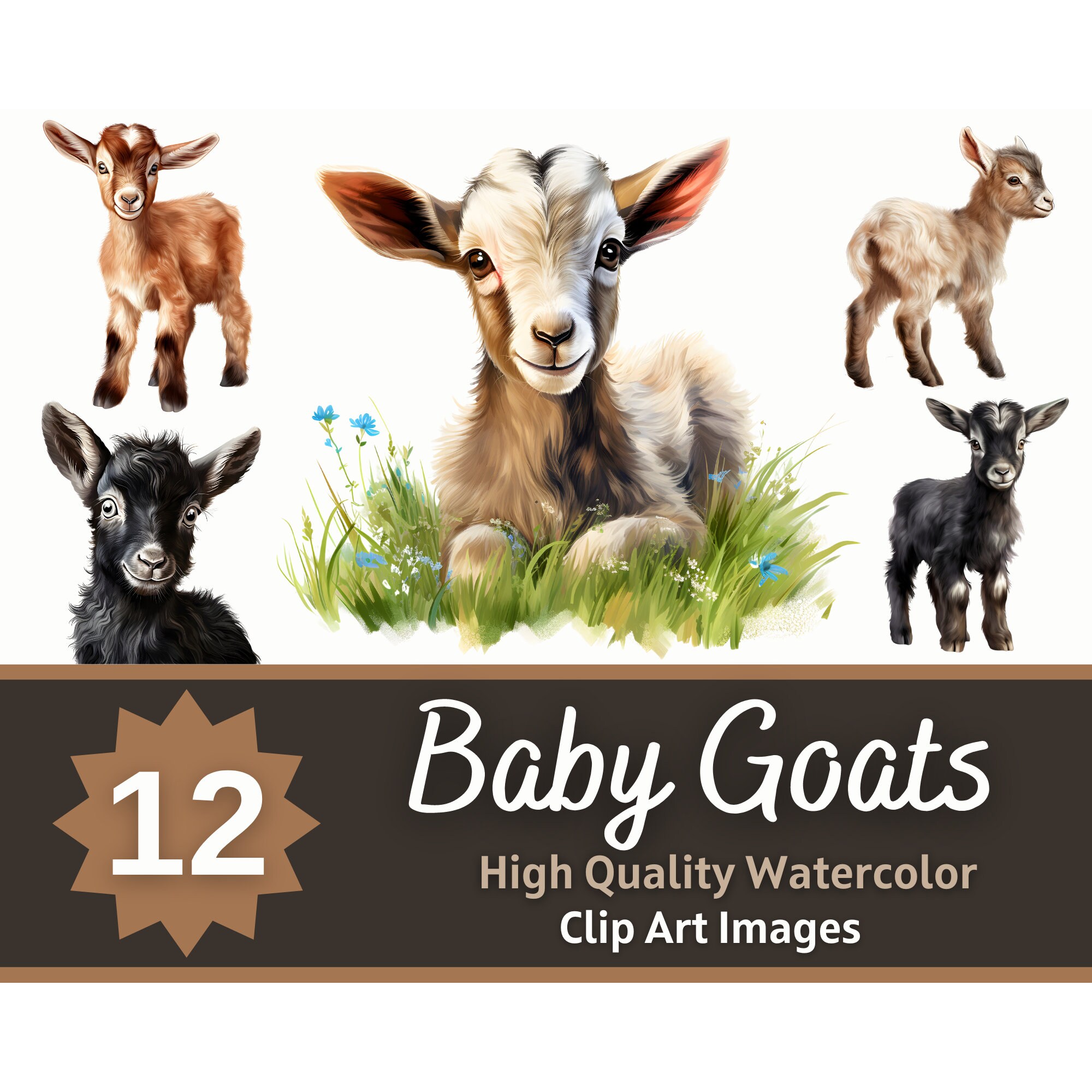 Baby Goat PNG Clipart Watercolor Bundle | Baby Animals Clipart | Baby ...