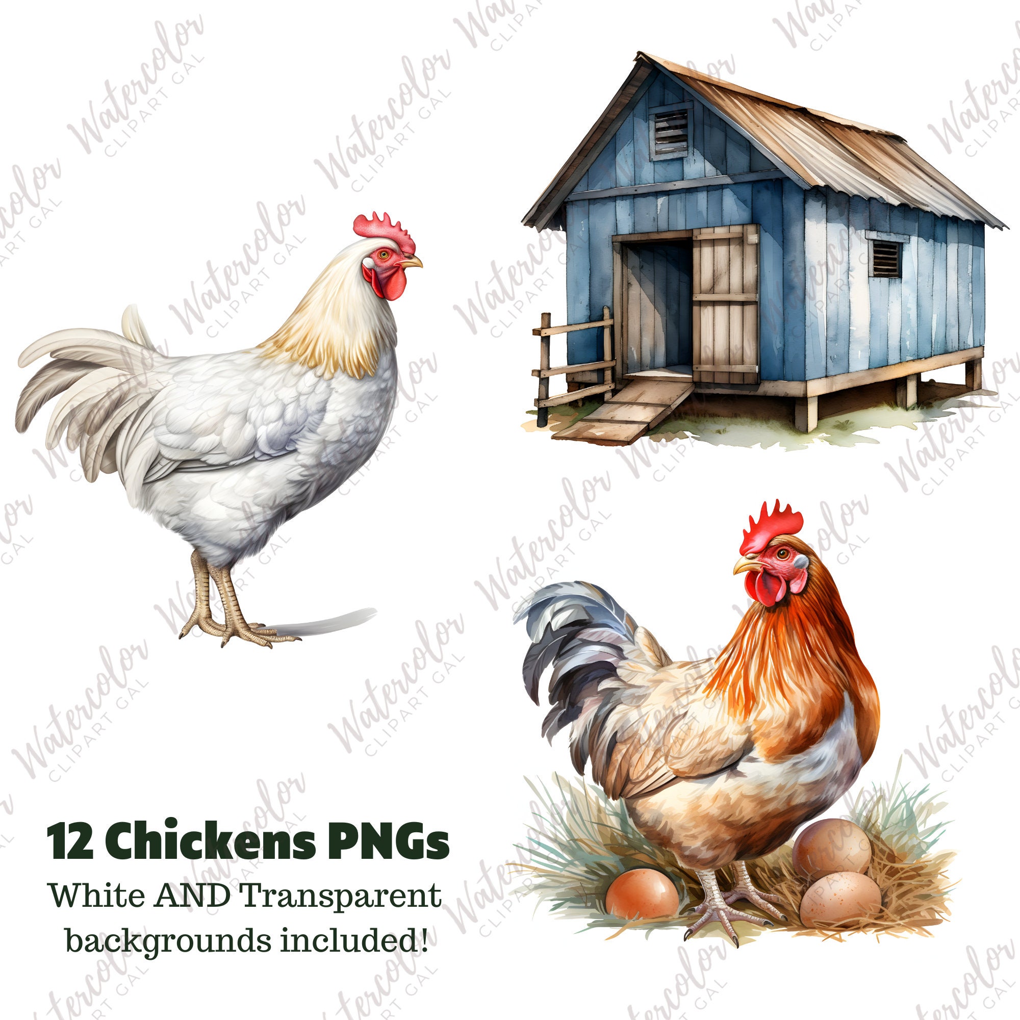 Chicken Clipart Watercolor Bundle Chicken PNG Baby Farm - Etsy