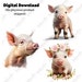 Baby Pig Clipart Watercolor Bundle | Baby Pig PNG | Baby Animals ...