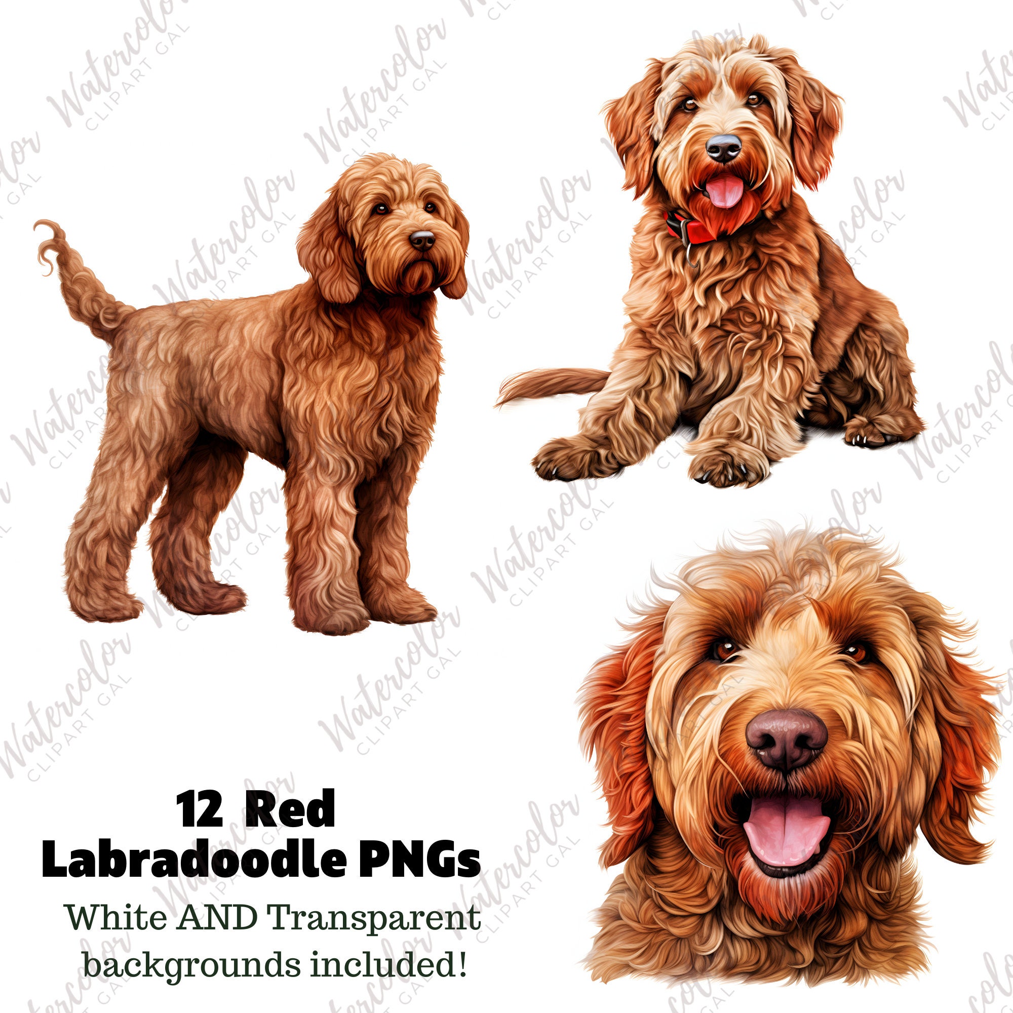 Red Labradoodle Clipart Watercolor Bundle Dog Portrait - Etsy