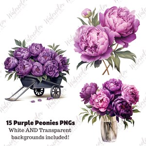 Purple Peony Clipart PNG Watercolor Bundle | Peonies PNG | Floral ...