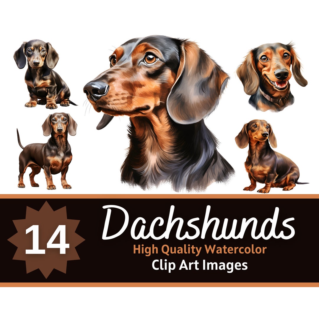Dachshund Clipart Watercolor Bundle | Dog Portrait | Wiener Dog PNG ...