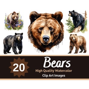 Bear PNG Watercolor Bundle | Bear Clipart | Animal Clipart | Woodland ...