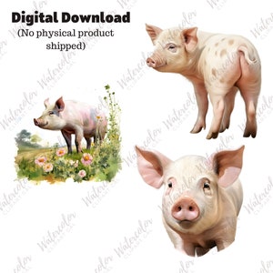 Pig Clipart Watercolor Bundle | Cute Animal Clipart | Barnyard Birthday ...