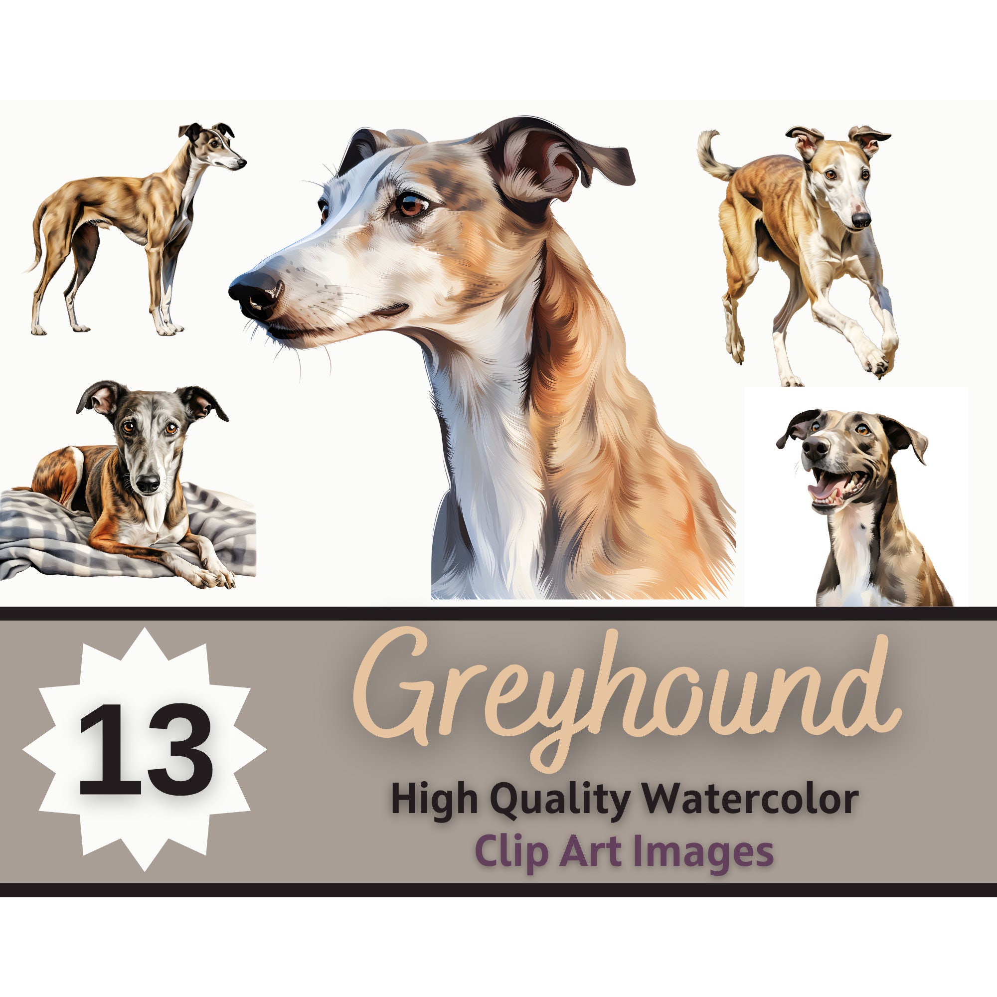 Greyhound Clipart Watercolor Bundle Dog Portrait Greyhound - Etsy