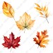 Autumn Leaves PNG Watercolor Bundle | Fall Leaves Clipart | Junk ...